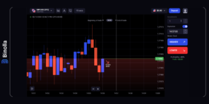 Binolla Platform Guide for Beginners: Navigating Features and Functions ...